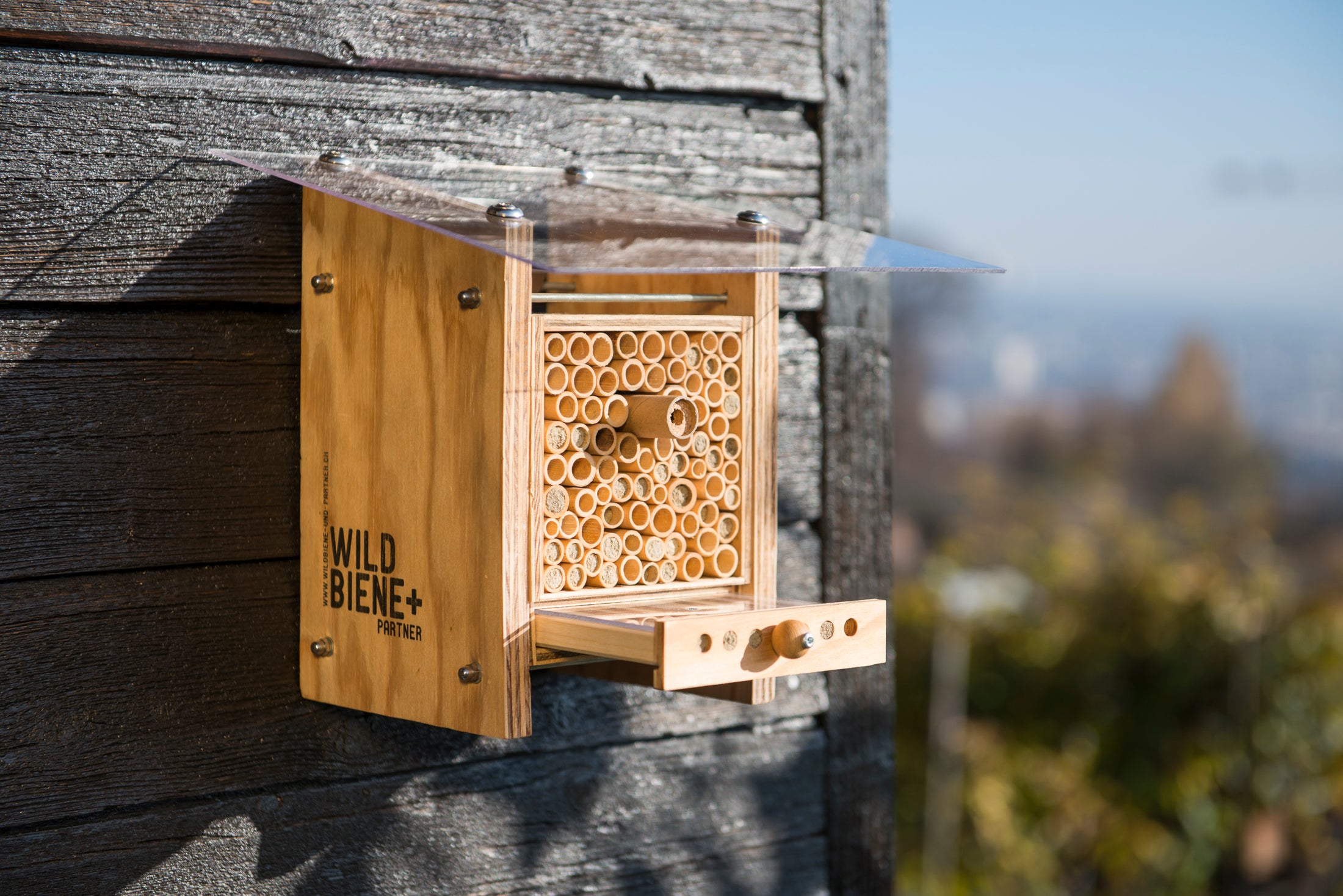 Start mit dem BeeHome – Wildbiene + Partner AG
