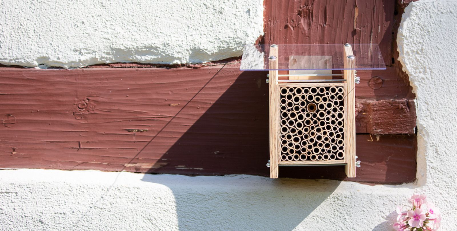 So pflegst du dein Bienenhotel und schützt es vor Feuchtigkeit ...