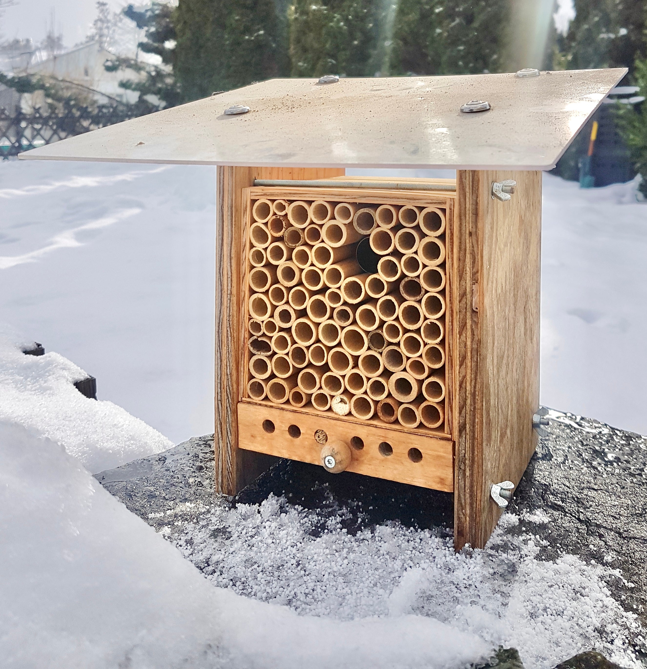 Start mit dem BeeHome – Wildbiene + Partner AG